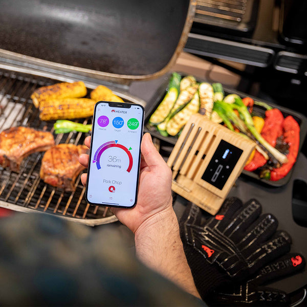 MEATER Block | Premium WiFi Meat Thermometer – MEATER US
